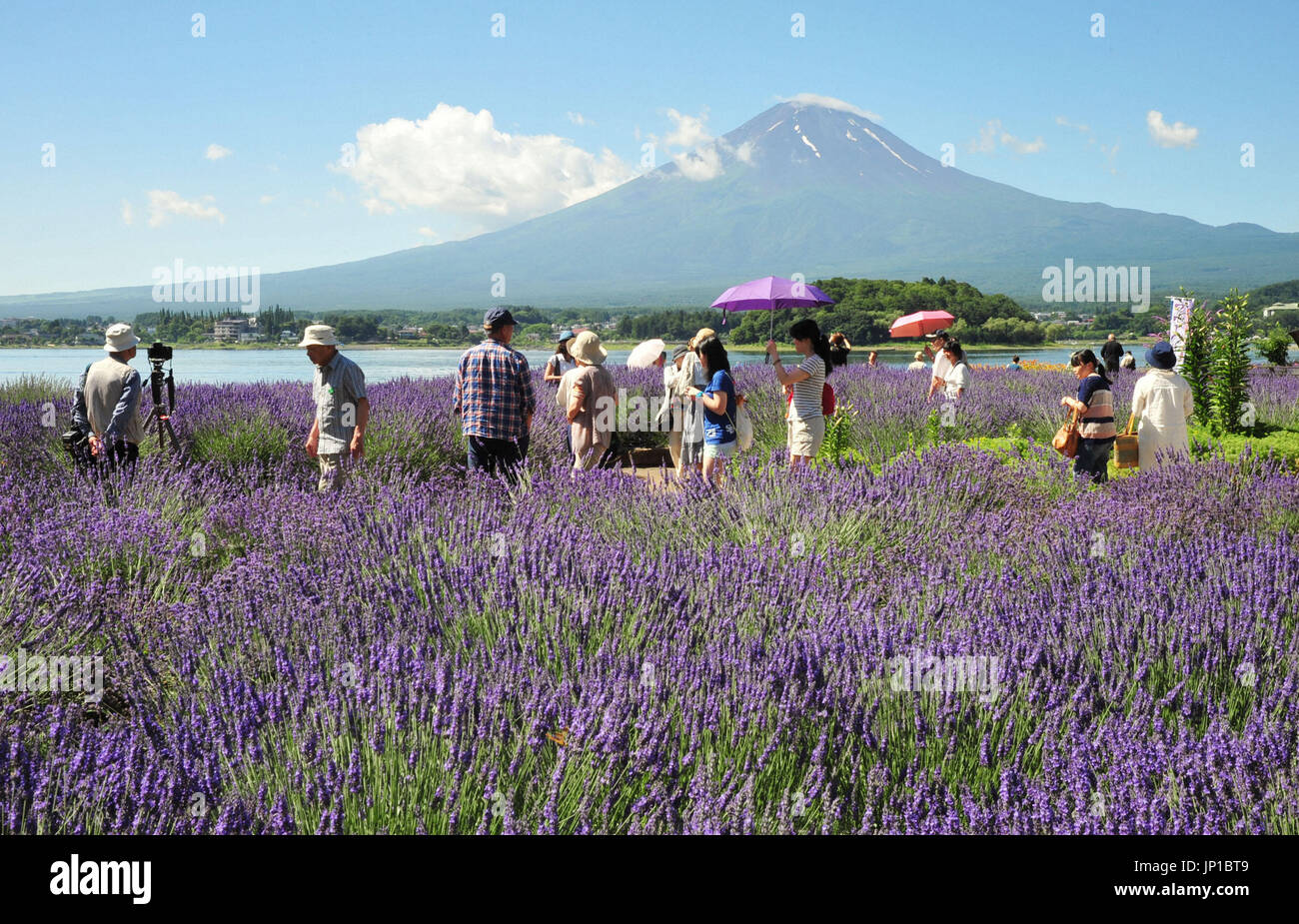 KOFU, Japan - Photo taken in the town of Fujikawaguchiko in Yamanashi ...