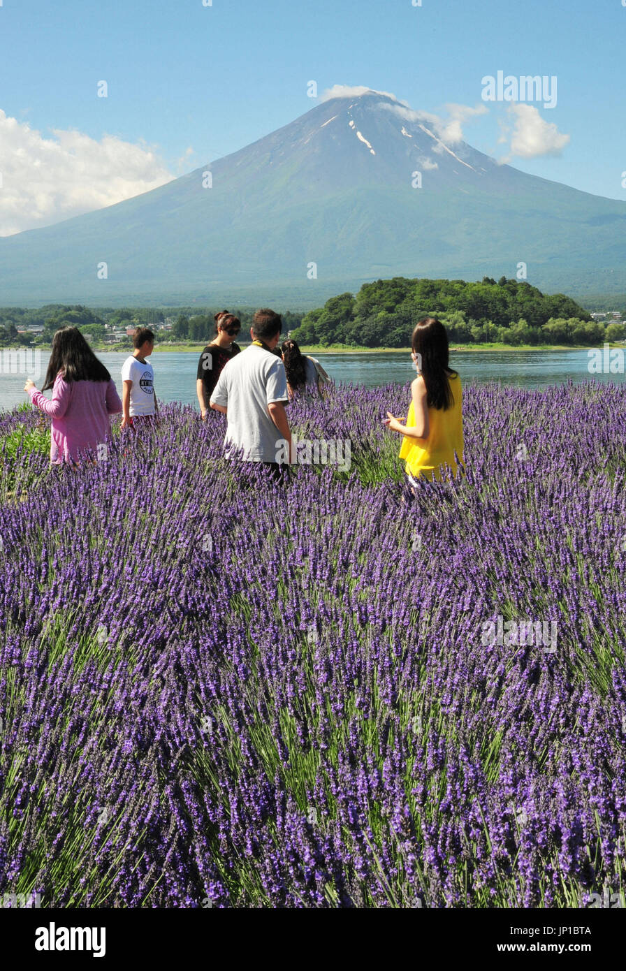 KOFU, Japan - Photo taken in the town of Fujikawaguchiko in Yamanashi ...