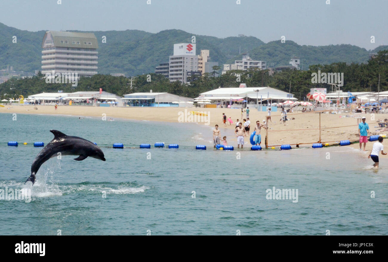 KOBE, Japan - A dolphin jumps at Suma beach in Kobe, western Japan, on ...