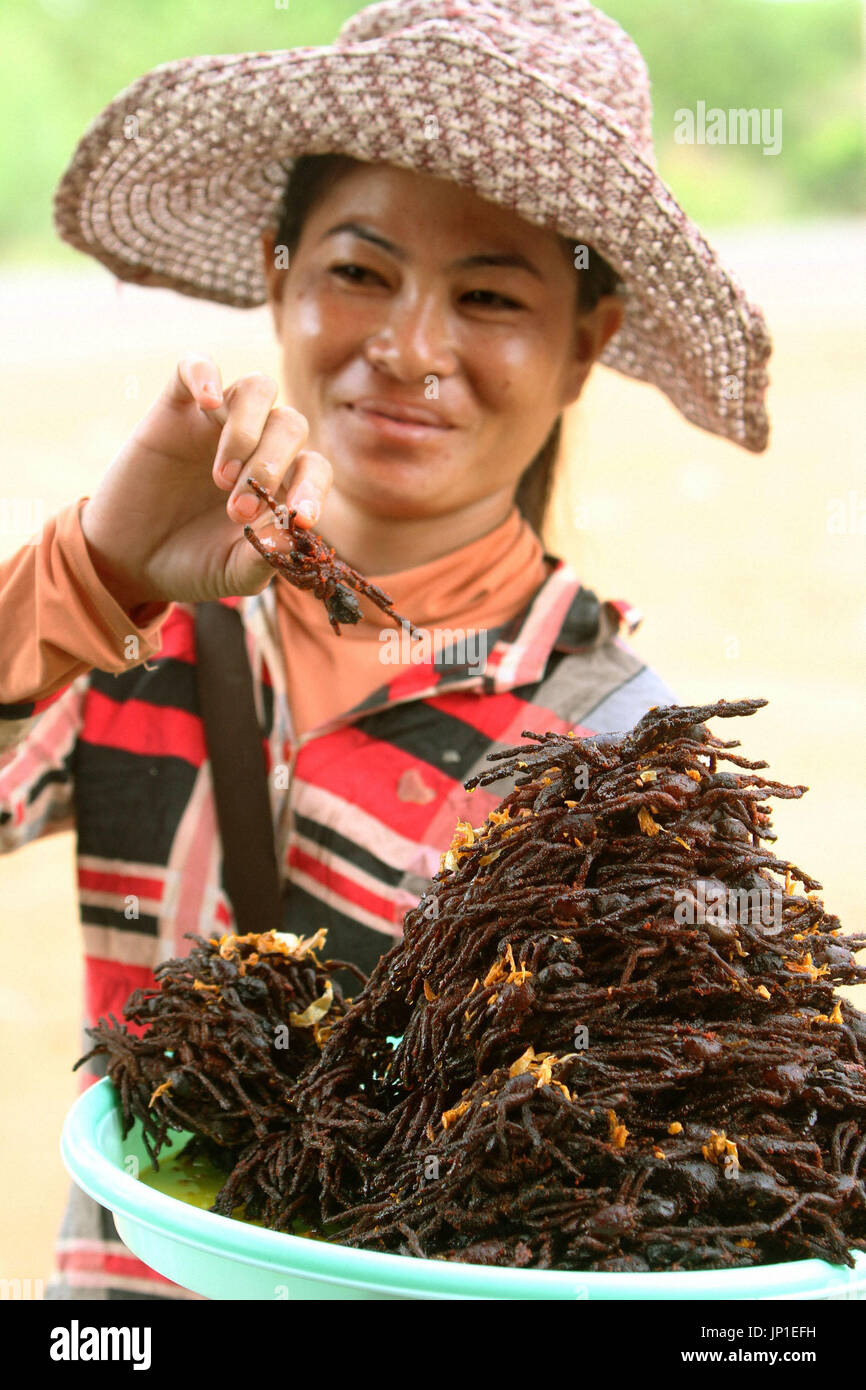 SKUON, Cambodia - A Cambodian woman sells fried tarantulas in Skuon, a ...