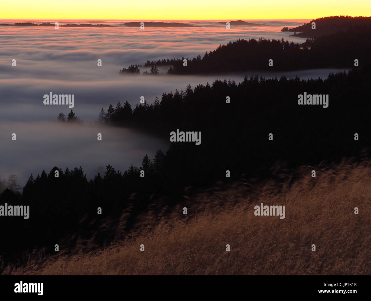 A Dramatic Ocean of Fog/Clouds with Dim Lighting from the Long-Set Sun ...