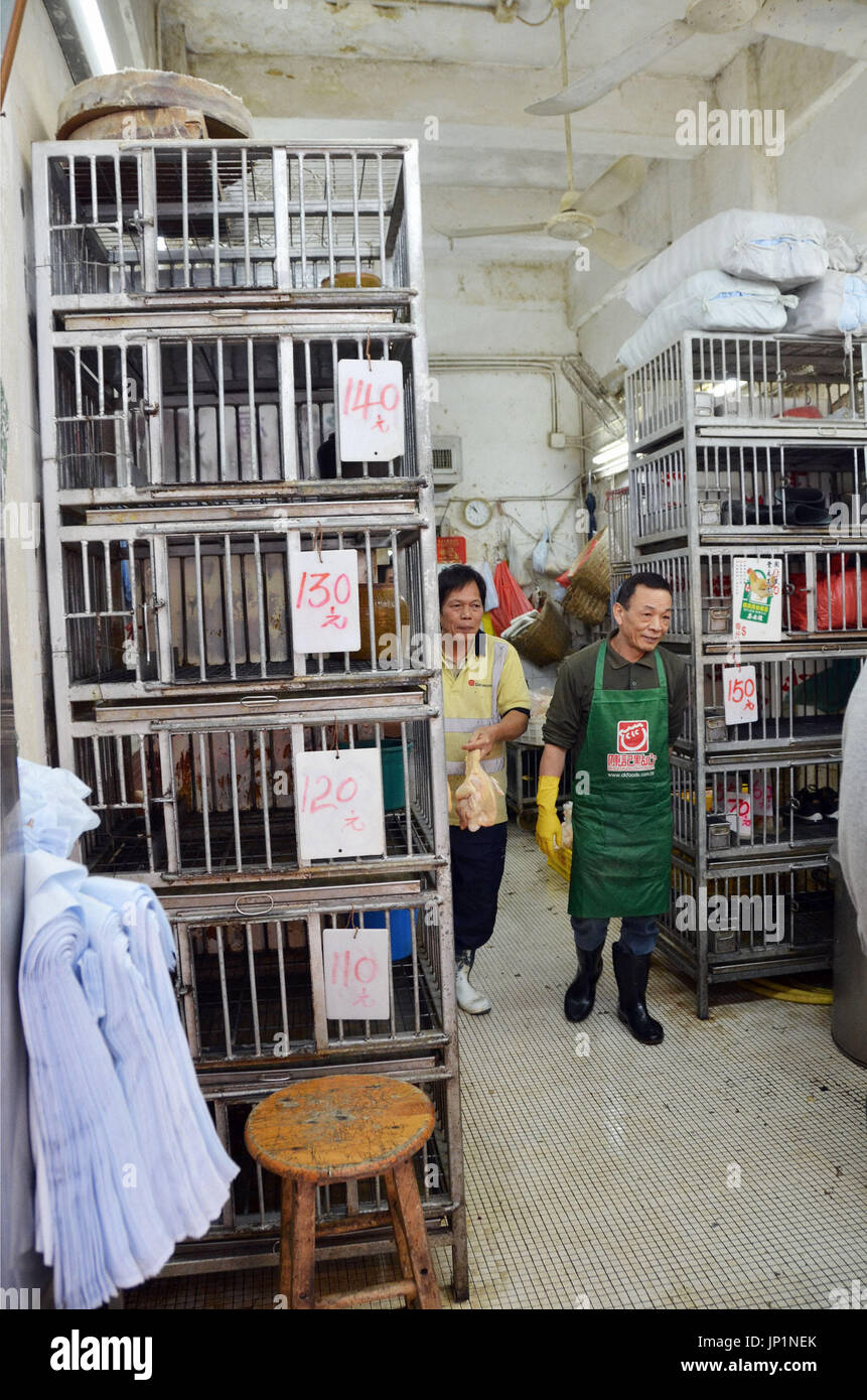 HONG KONG, China - Photo shows empty cages at a poultry shop in Hong ...