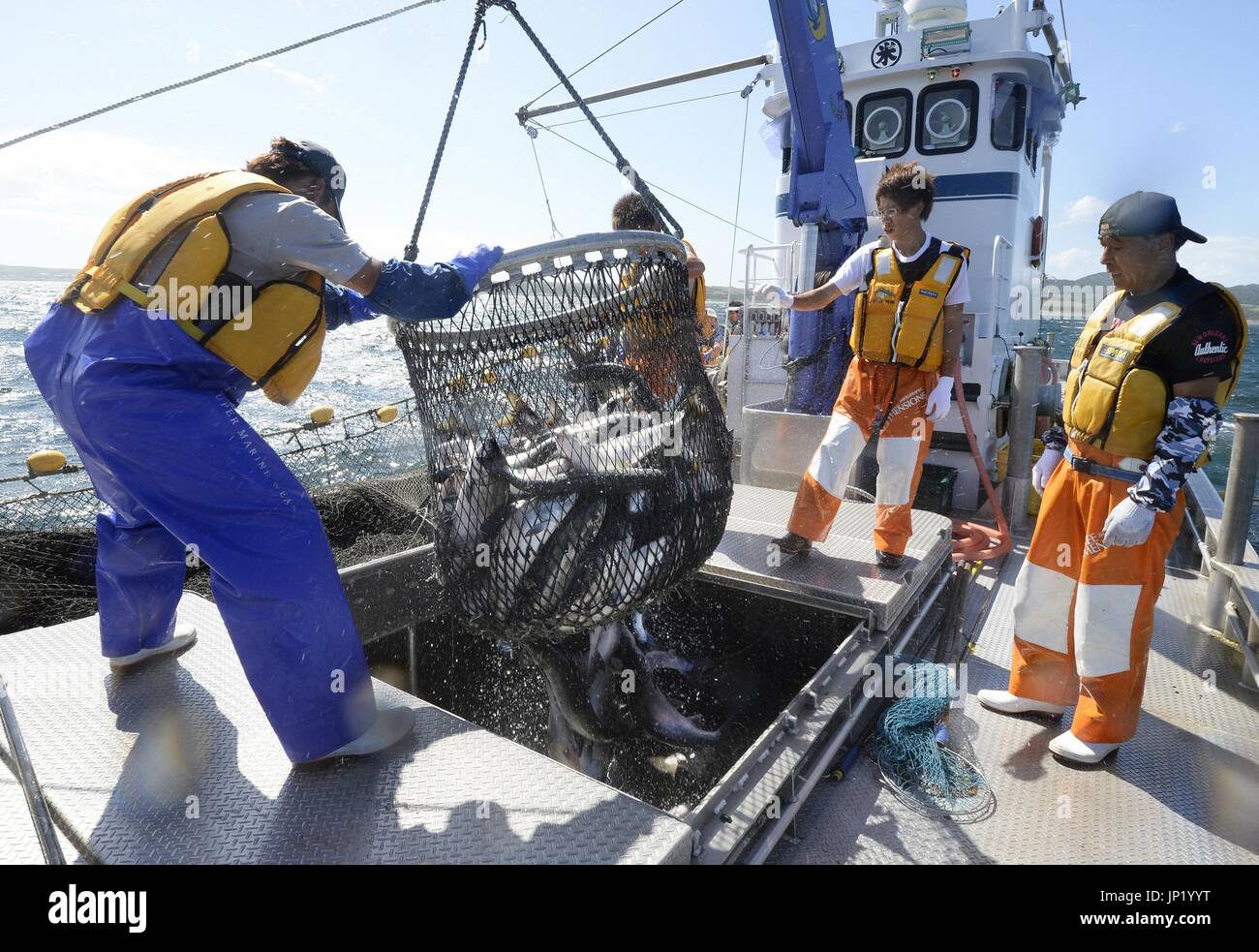 SAPPORO, Japan - Fishermen pull in a net in the Pacific Ocean about 1.5 ...