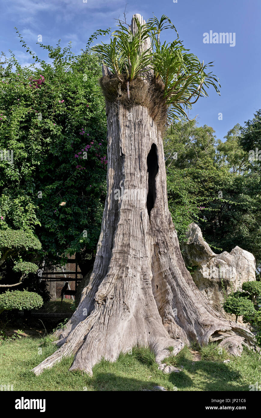 Unusual rock and stone formation. Natural geological odd shapes Stock ...