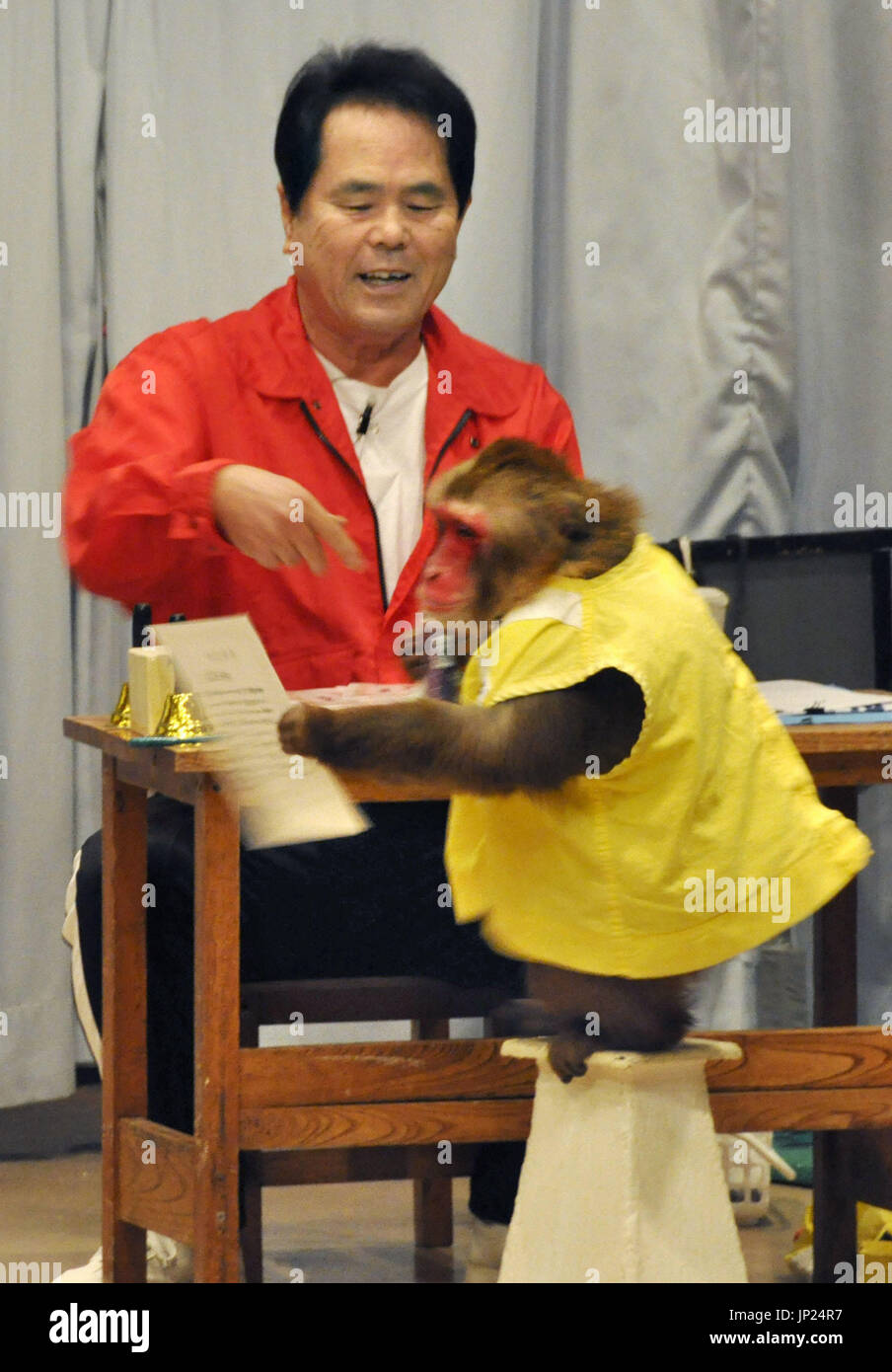 UTSUNOMIYA, Japan - A member of a popular monkey performance group at ...