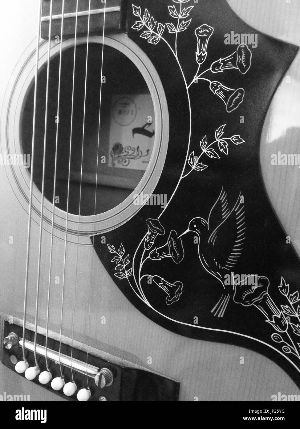 Stringed Bowed Instrument High Resolution Stock Photography and Images ...