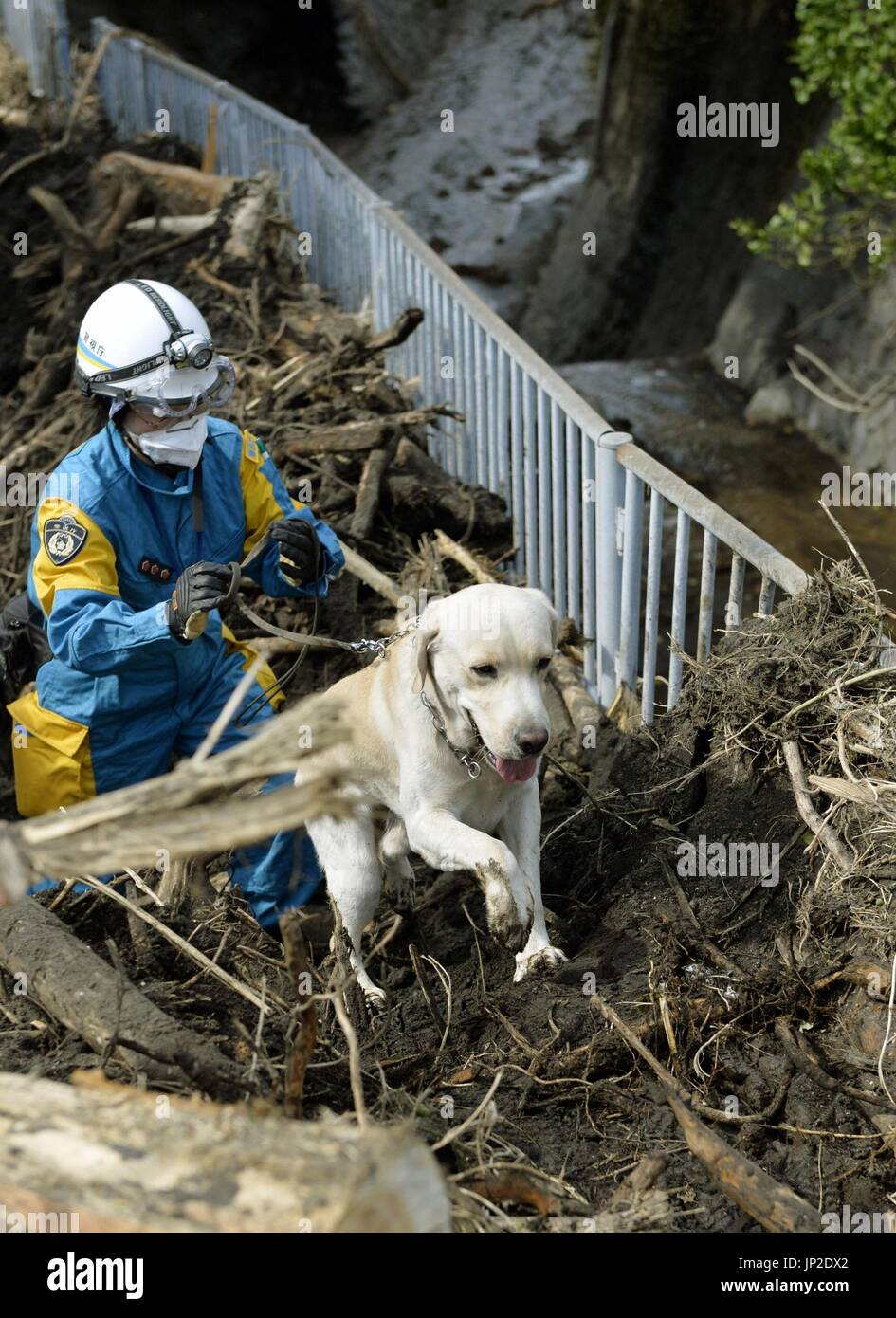 OSHIMA, Japan - Police officers use a dog in a search and rescue ...