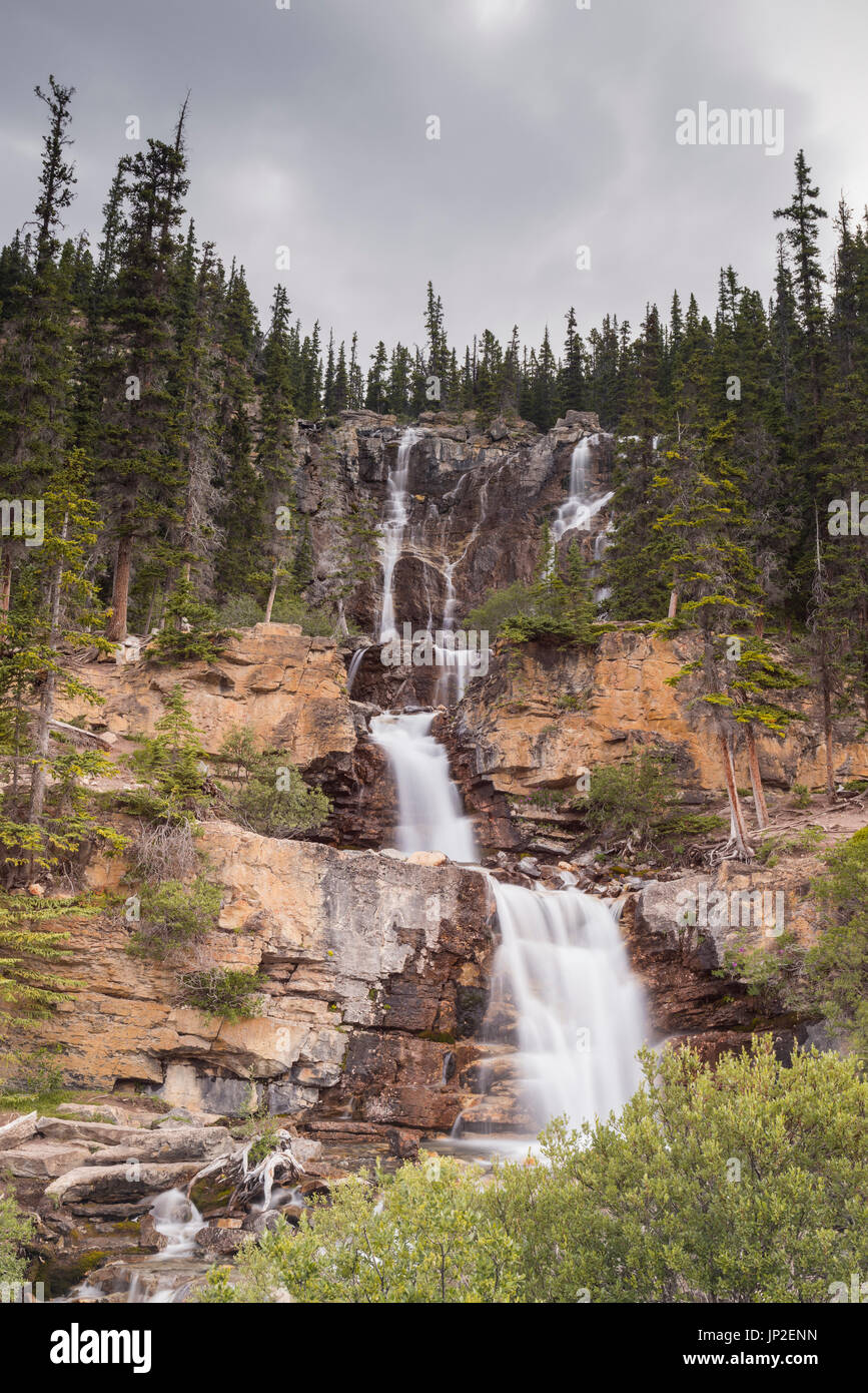 Tangle Falls in Jasper National Park, Alberta, Canada Stock Photo - Alamy