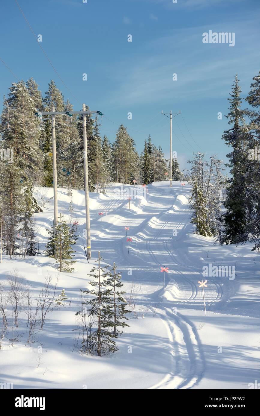 Ski tracks in Sweden Stock Photo - Alamy