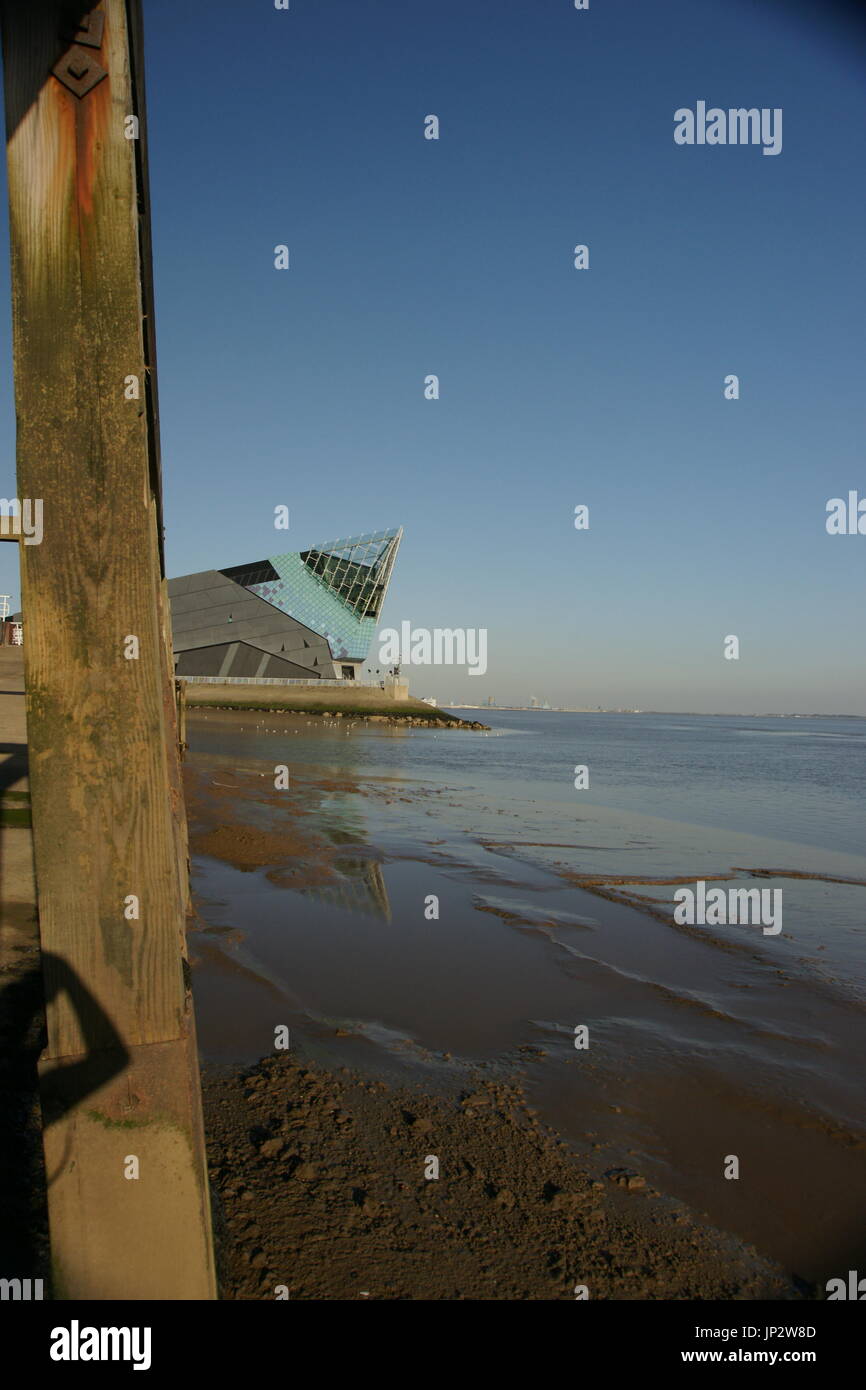 Award winning aquarium hi-res stock photography and images - Alamy