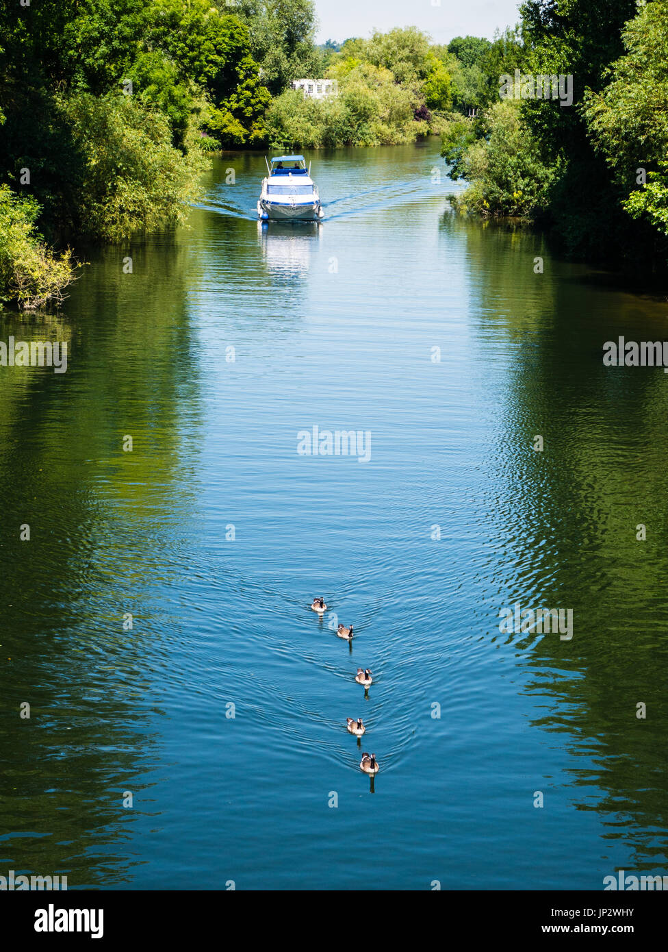 Boat Cursing on The River Thames, Bray, Maidenhead, Berkshire,England ...