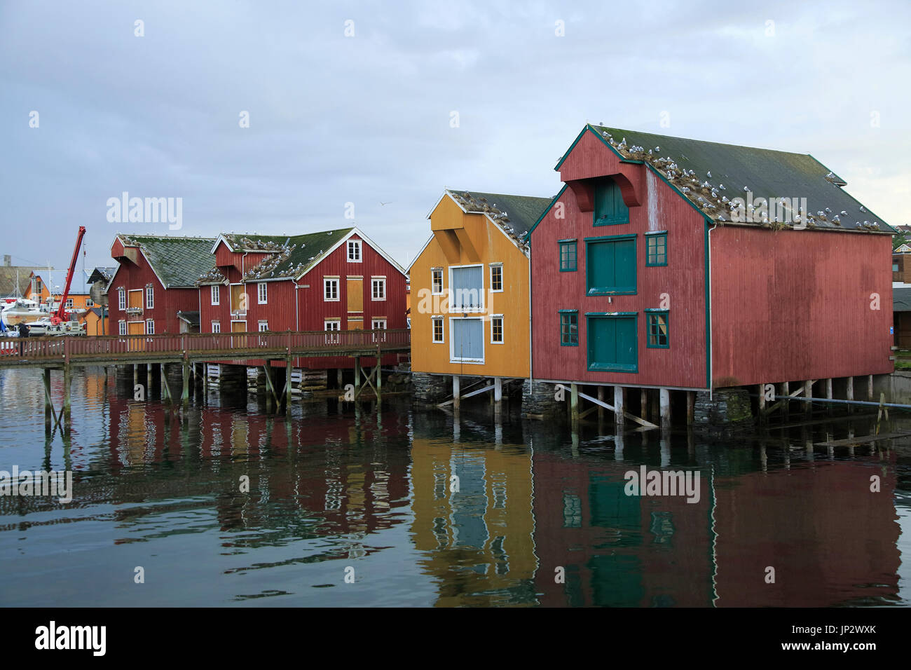 Traditional harbour buildings in fishing village of Rorvik, Norway ...