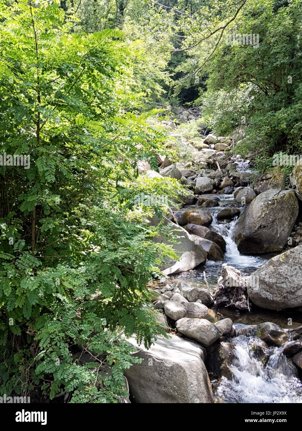 Lush landscape, mountain stream Stock Photo - Alamy