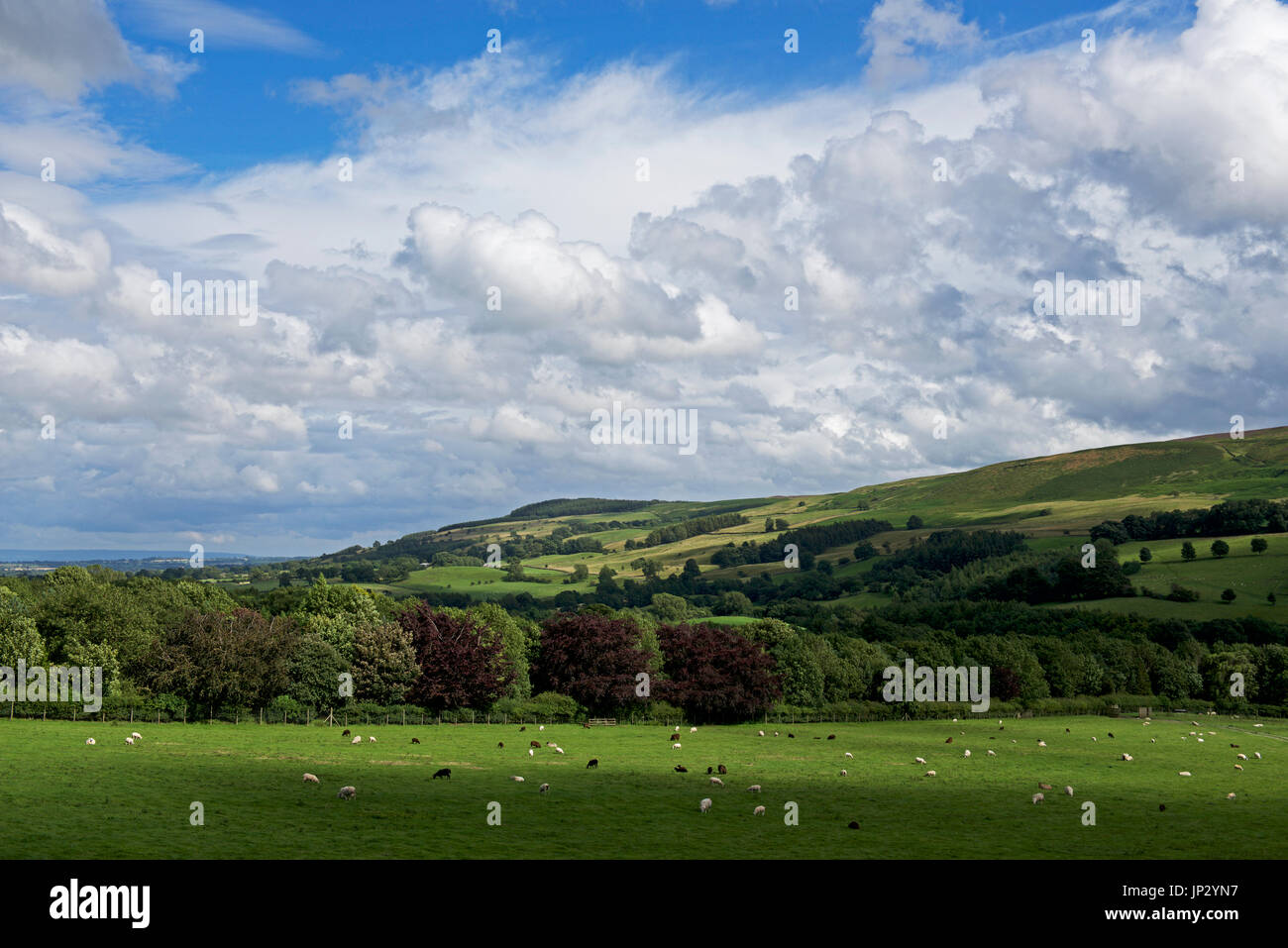 Coverdale yorkshire hi-res stock photography and images - Alamy