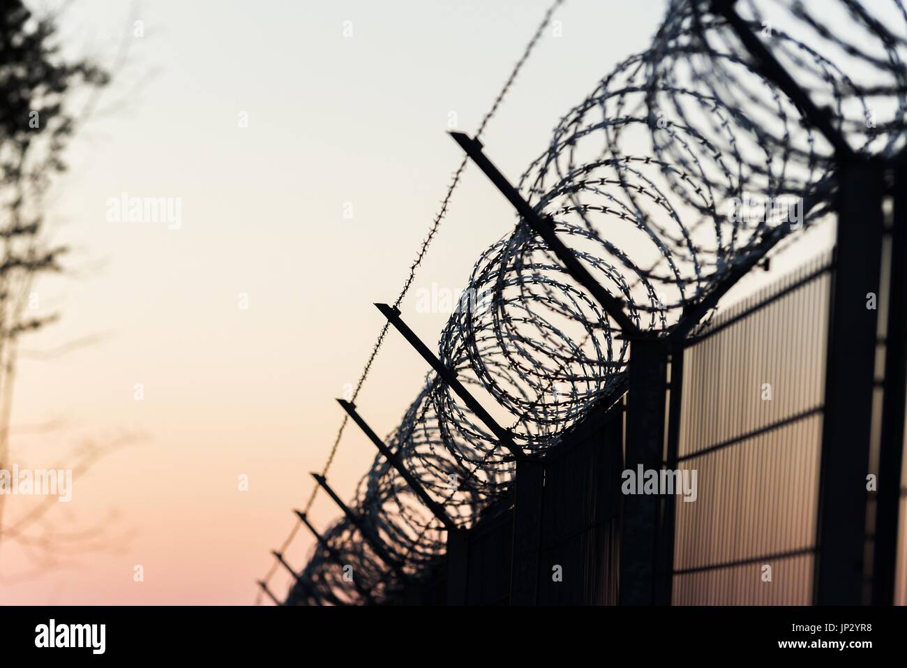 Sharp barbed wire on fence at cold winter Stock Photo - Alamy