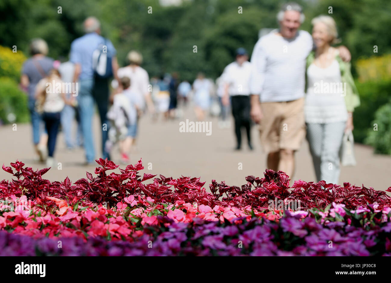 Mixed borders hi-res stock photography and images - Alamy