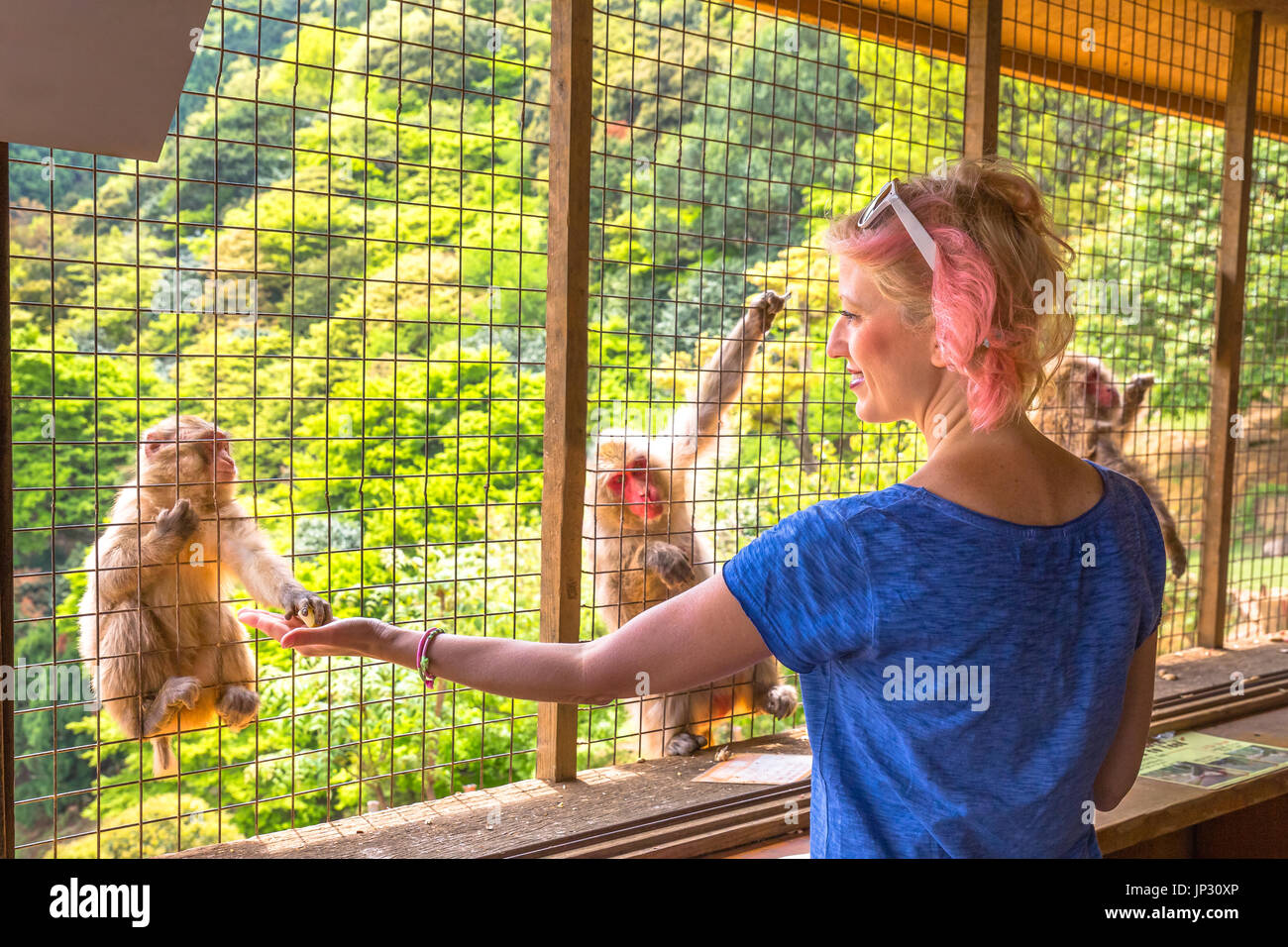 Woman eating monkey Stock Photo - Alamy