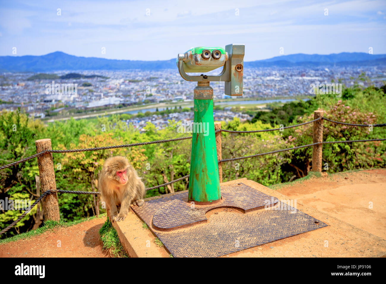 Iwatayama Monkey Park Photos