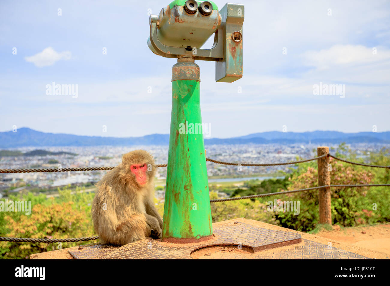 Iwatayama Monkey Park Stock Photo - Alamy