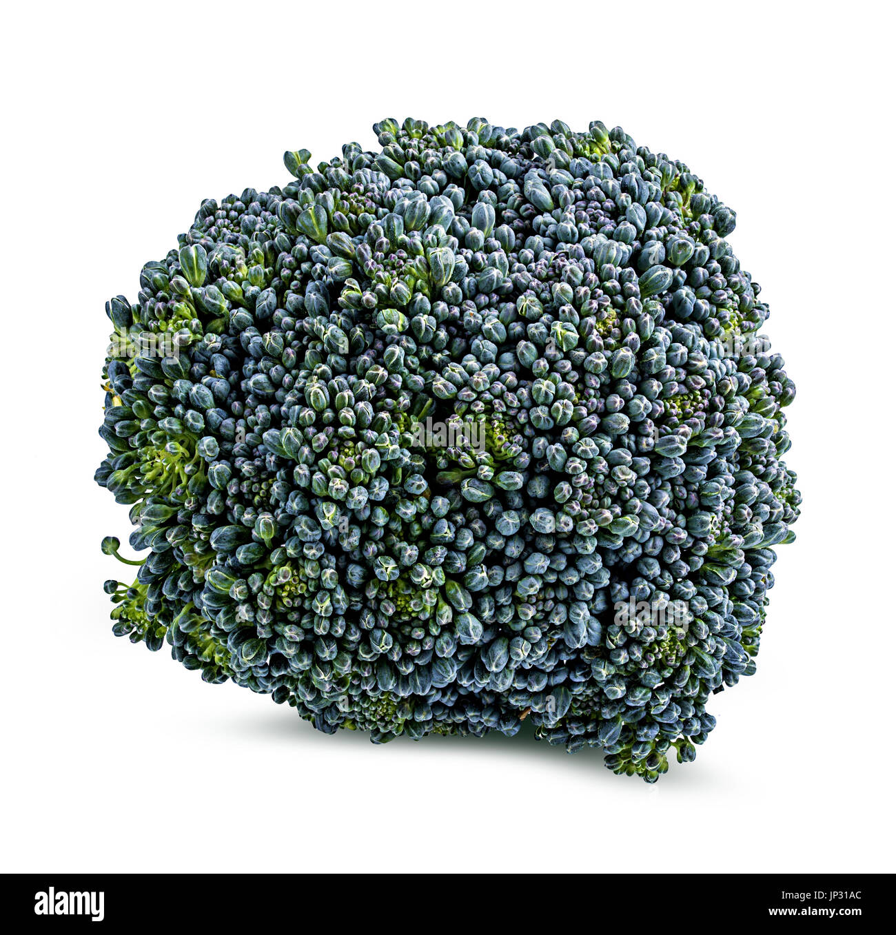 Broccoli isolated on white background Stock Photo - Alamy