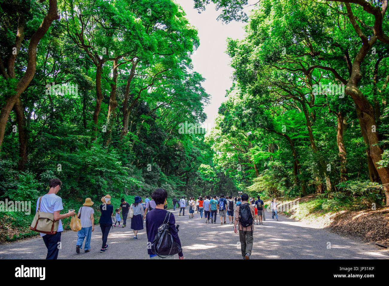TOKYO, JAPAN - MAY 15: Tourists walking through the walkway leading to ...