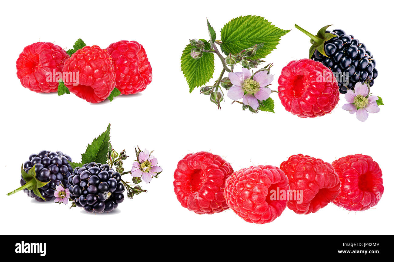 Raspberry and blackberry isolated on white background Stock Photo - Alamy