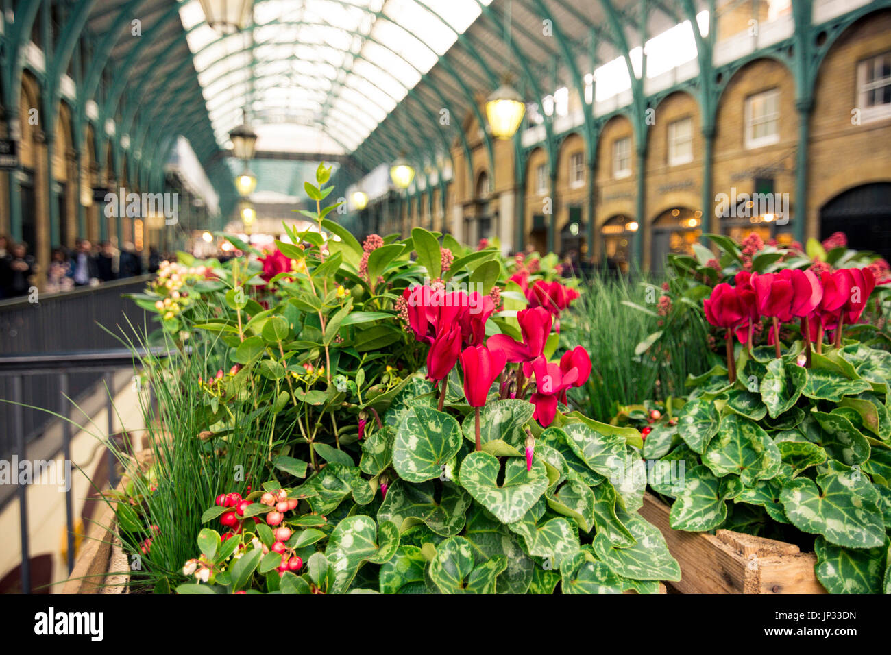 Covent Garden, London England, United Kingdom Central Piazza Convent ...