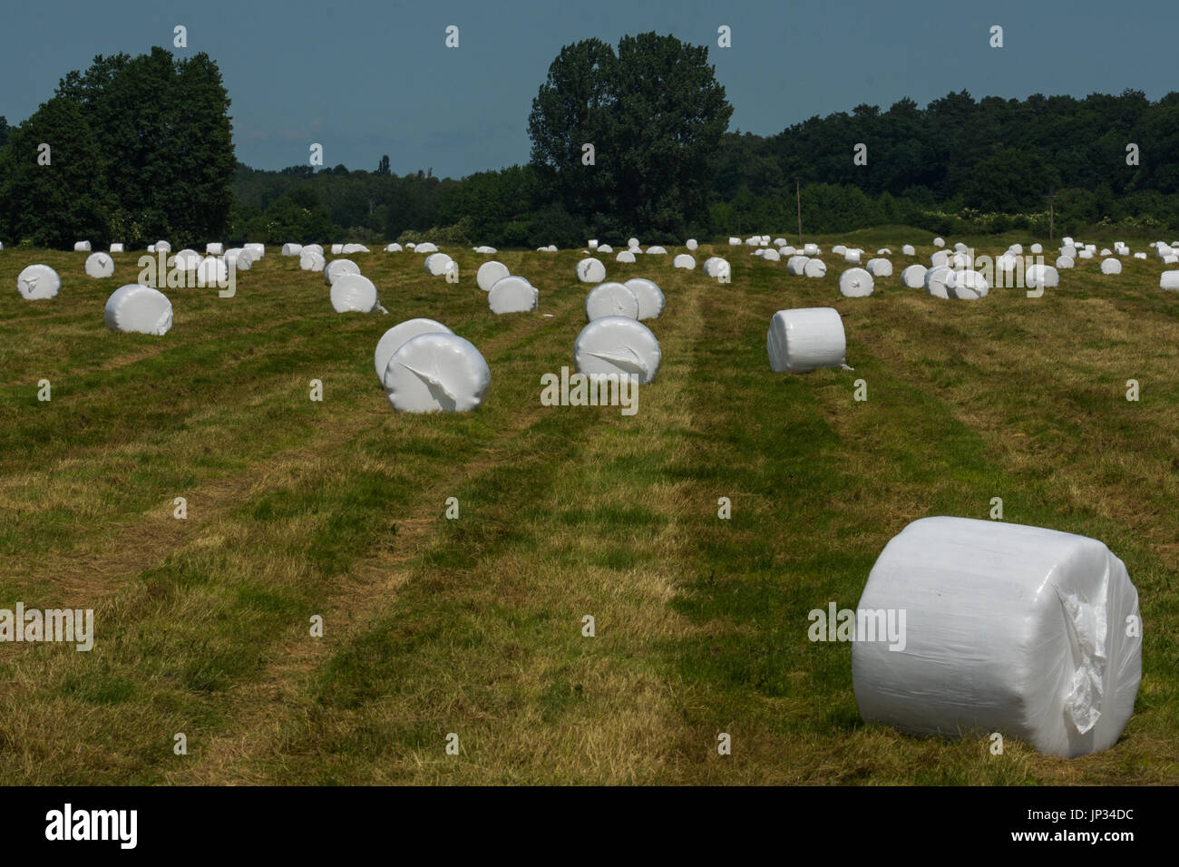 Grain bales hi-res stock photography and images - Alamy