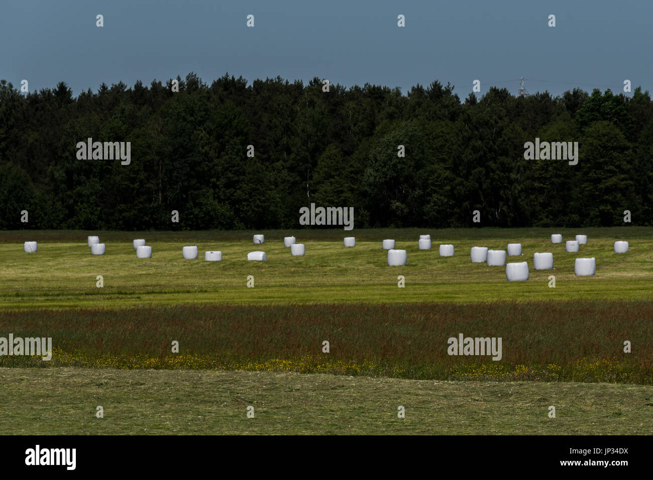 Bale national park hi-res stock photography and images - Alamy