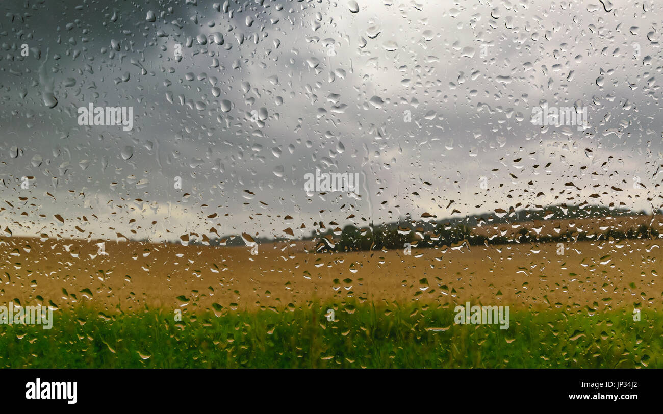 raindrops on window and gold field background Stock Photo - Alamy