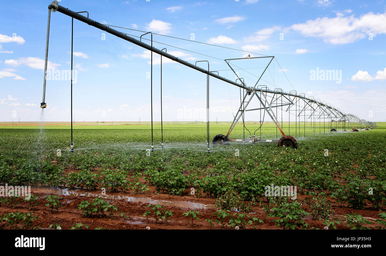 Automated water irrigation system hi-res stock photography and images ...