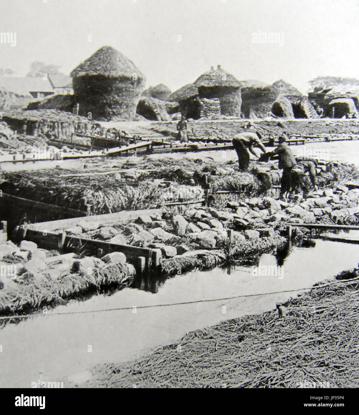 FLAX INDUSTRY - Flax being steeped in the river Lys (Leie), France ...