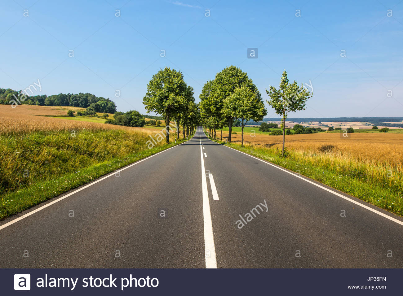 Four Seasons Trees Series High Resolution Stock Photography and Images ...