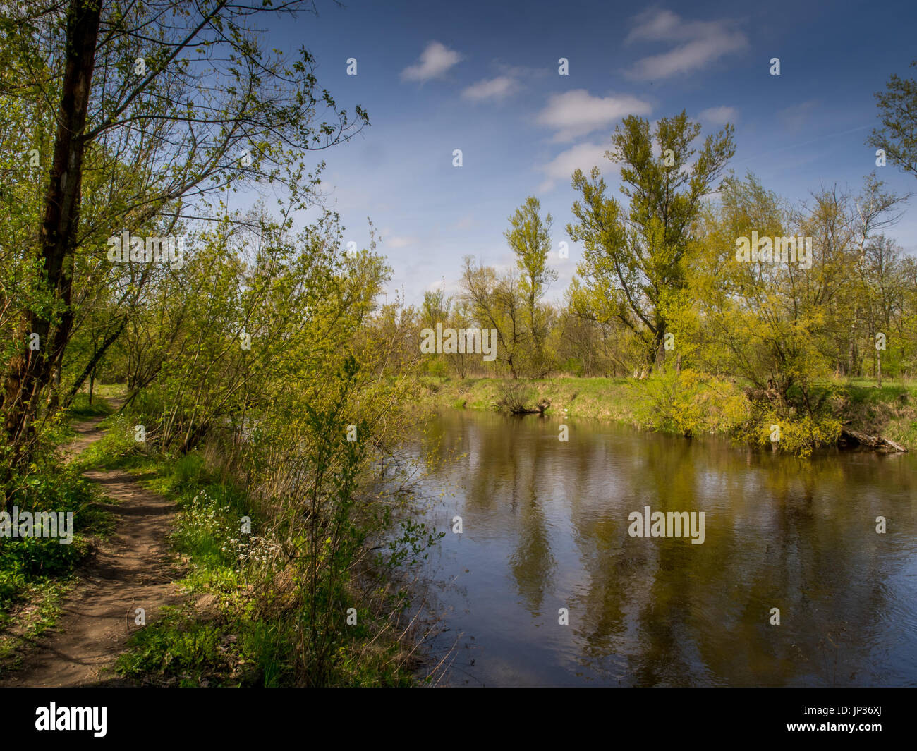 Bicycle path in the forest along the Swider River Stock Photo - Alamy