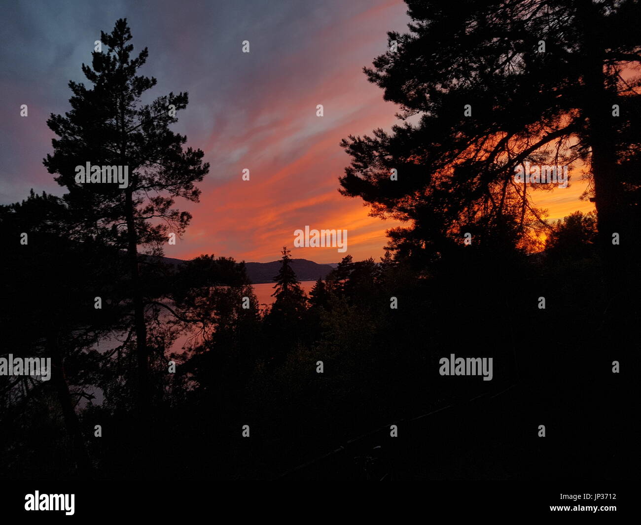 Sunset seen through dark trees in the foreground Stock Photo - Alamy