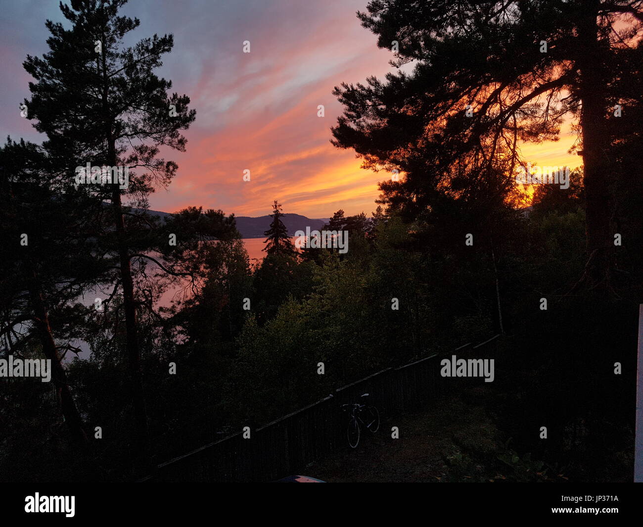 Sunset seen through dark trees in the foreground Stock Photo - Alamy