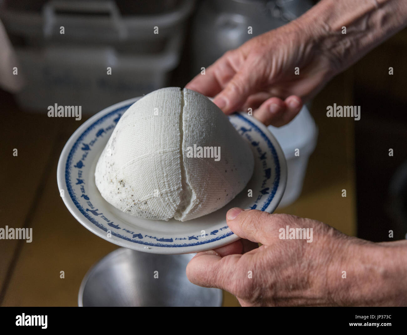 Making goat cheese at a mountain farm. This cheese is made from two ...