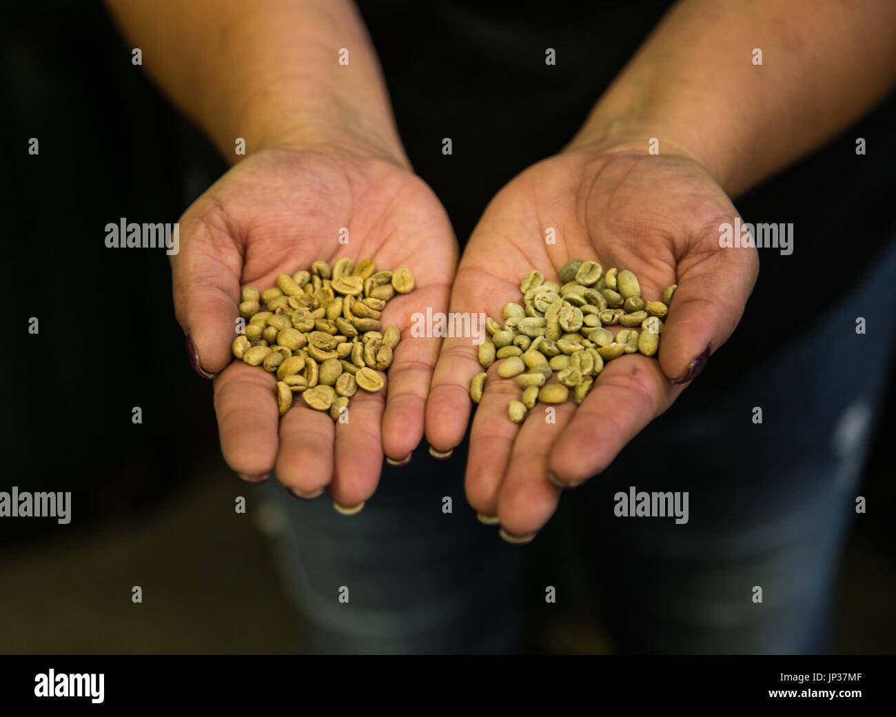 Hands make coffee hi-res stock photography and images - Alamy