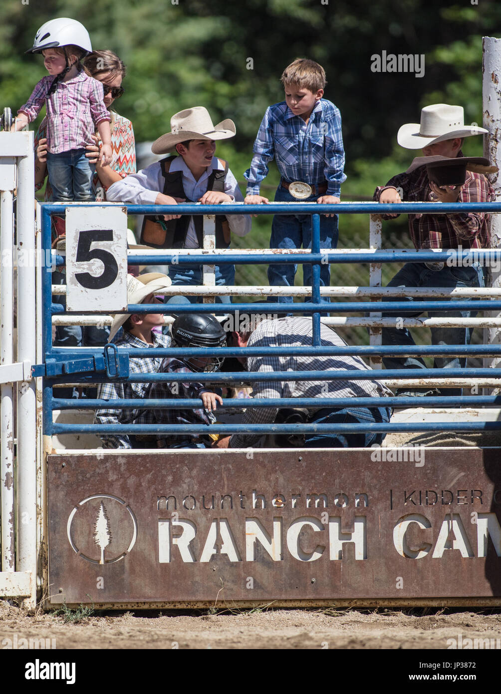 Young children riding sheep in a Mutton Busting even at the Scott ...