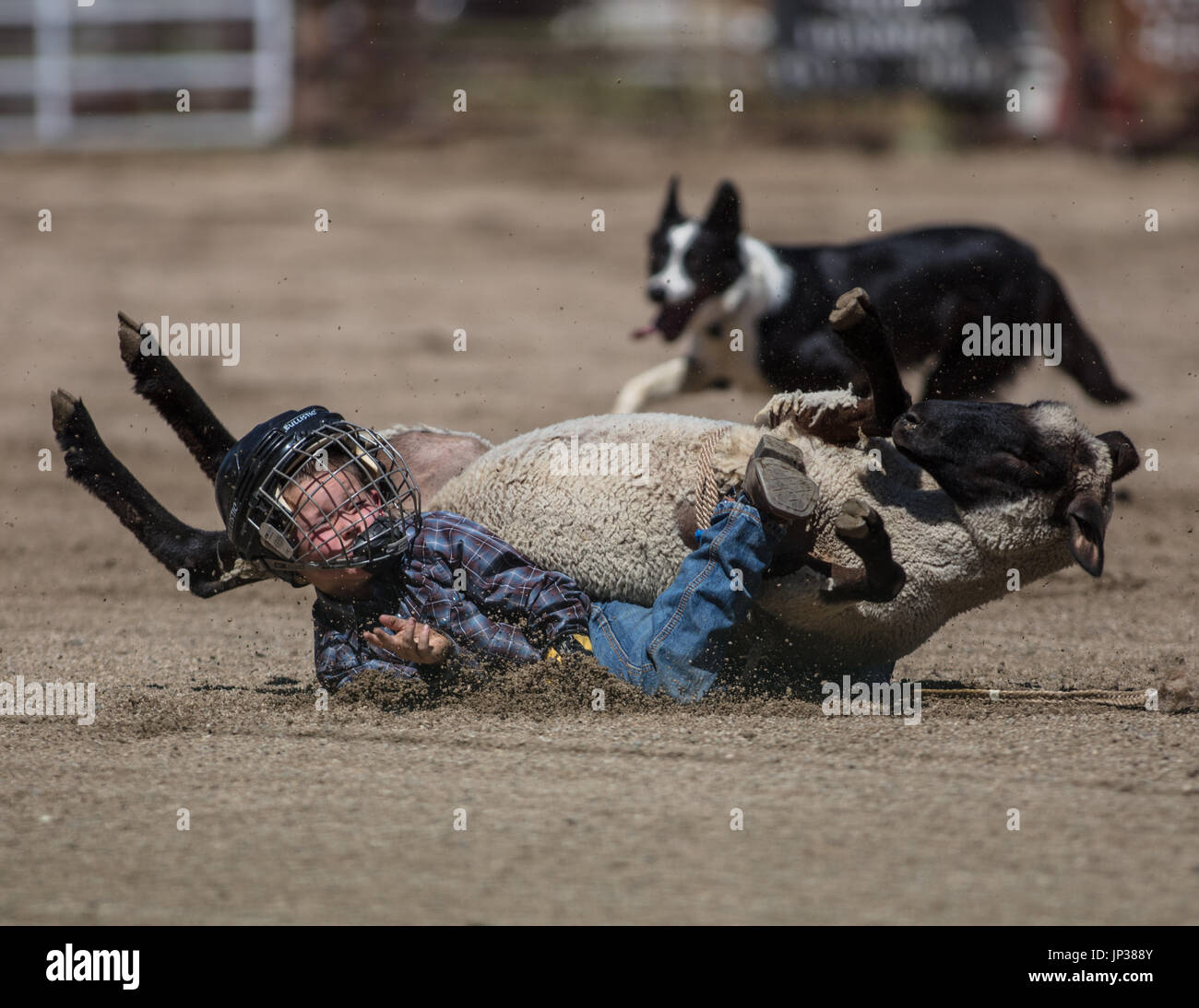 Kids riding sheep hi-res stock photography and images - Alamy