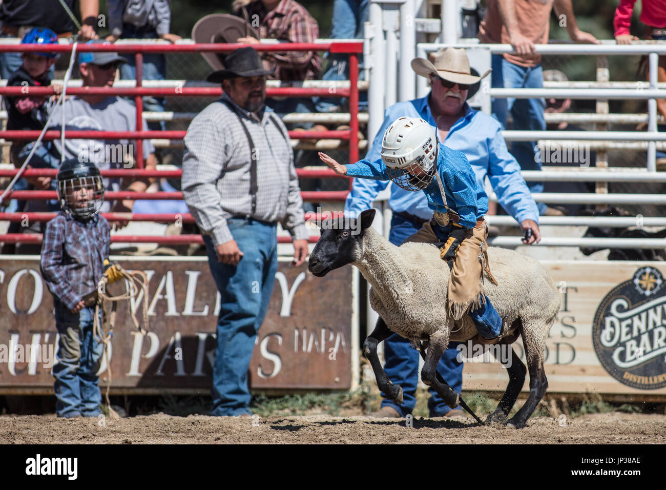 Mutton busting riding sheep kids hi-res stock photography and images ...