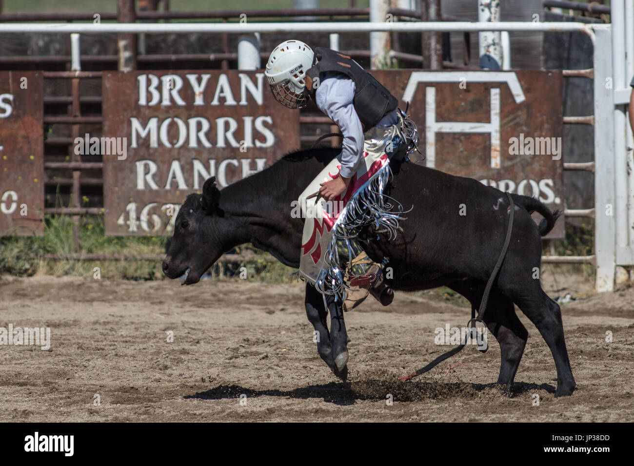 Rodeo action at the Scott Valley Pleasure Park in Etna, California ...