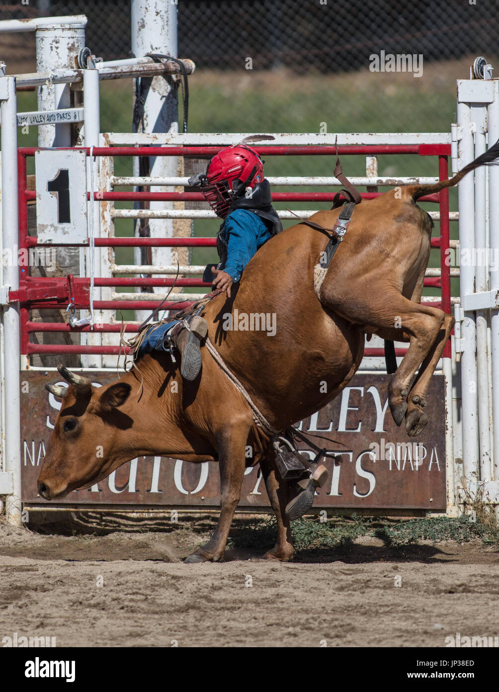 Rodeo action at the Scott Valley Pleasure Park in Etna, California ...