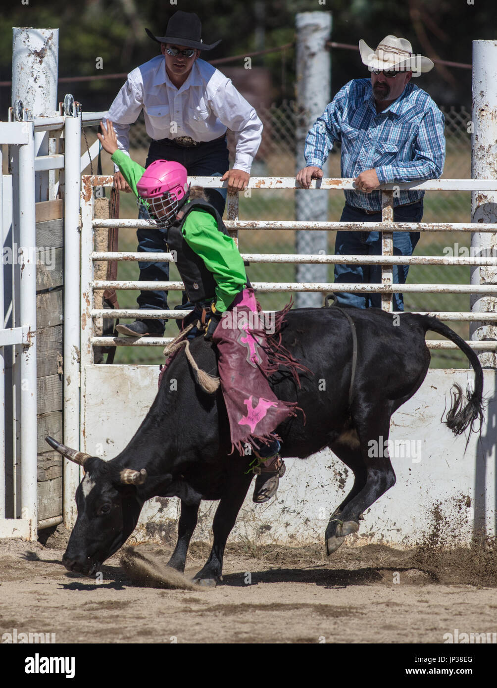 Rodeo action at the Scott Valley Pleasure Park in Etna, California ...