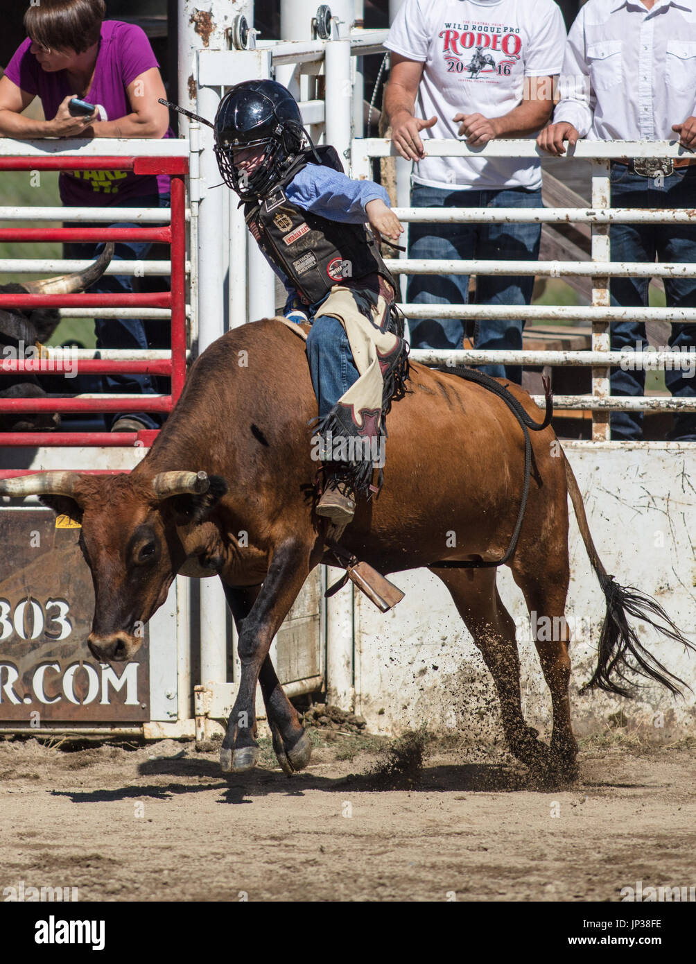 Rodeo action at the Scott Valley Pleasure Park in Etna, California ...