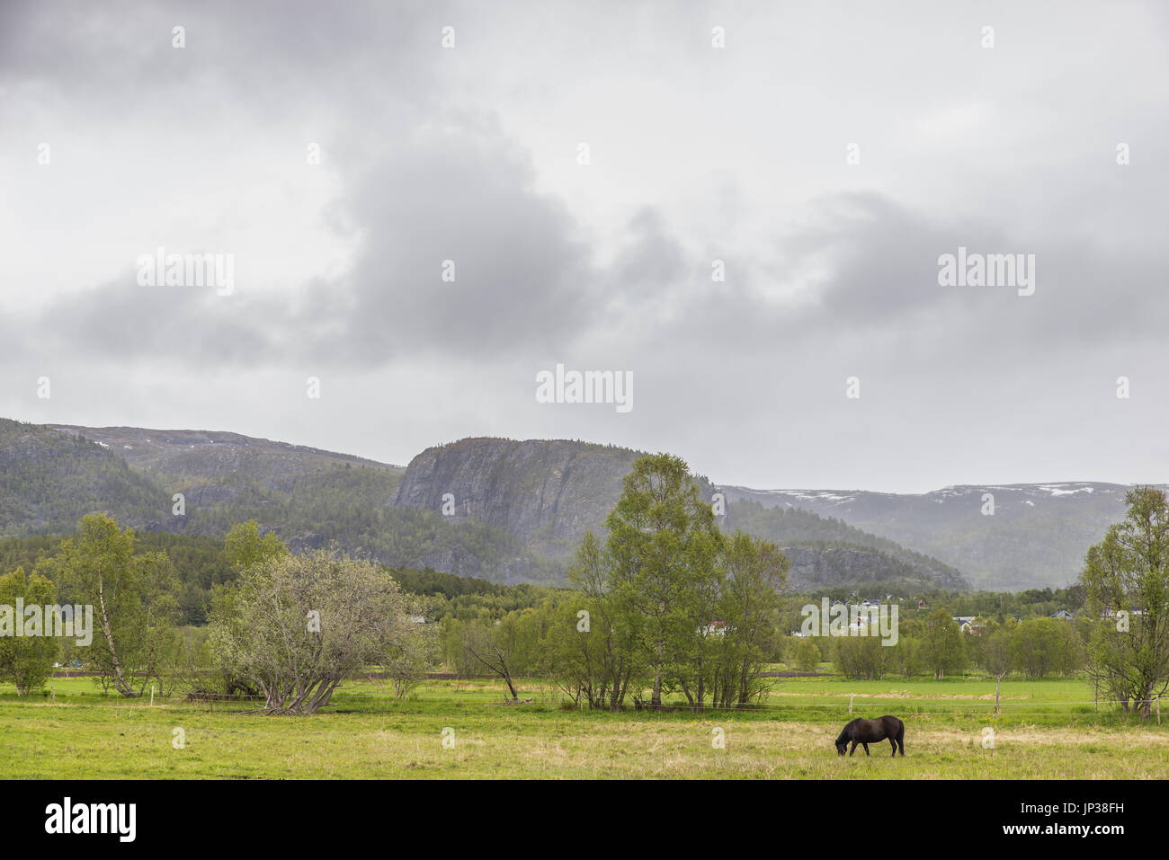 Outdoor animals hi-res stock photography and images - Alamy