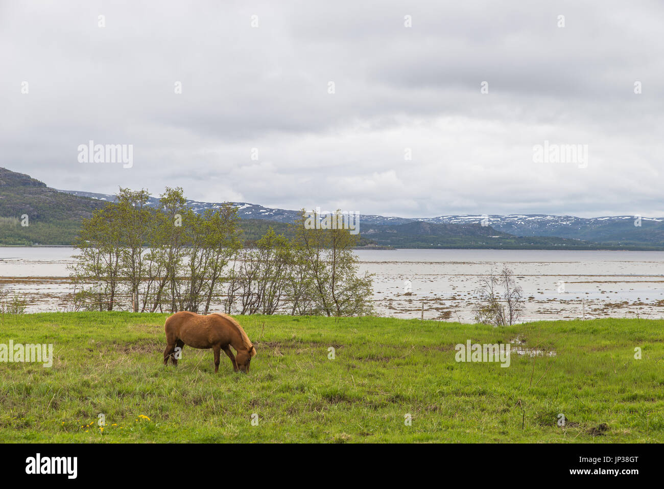 Outdoor animals hi-res stock photography and images - Alamy