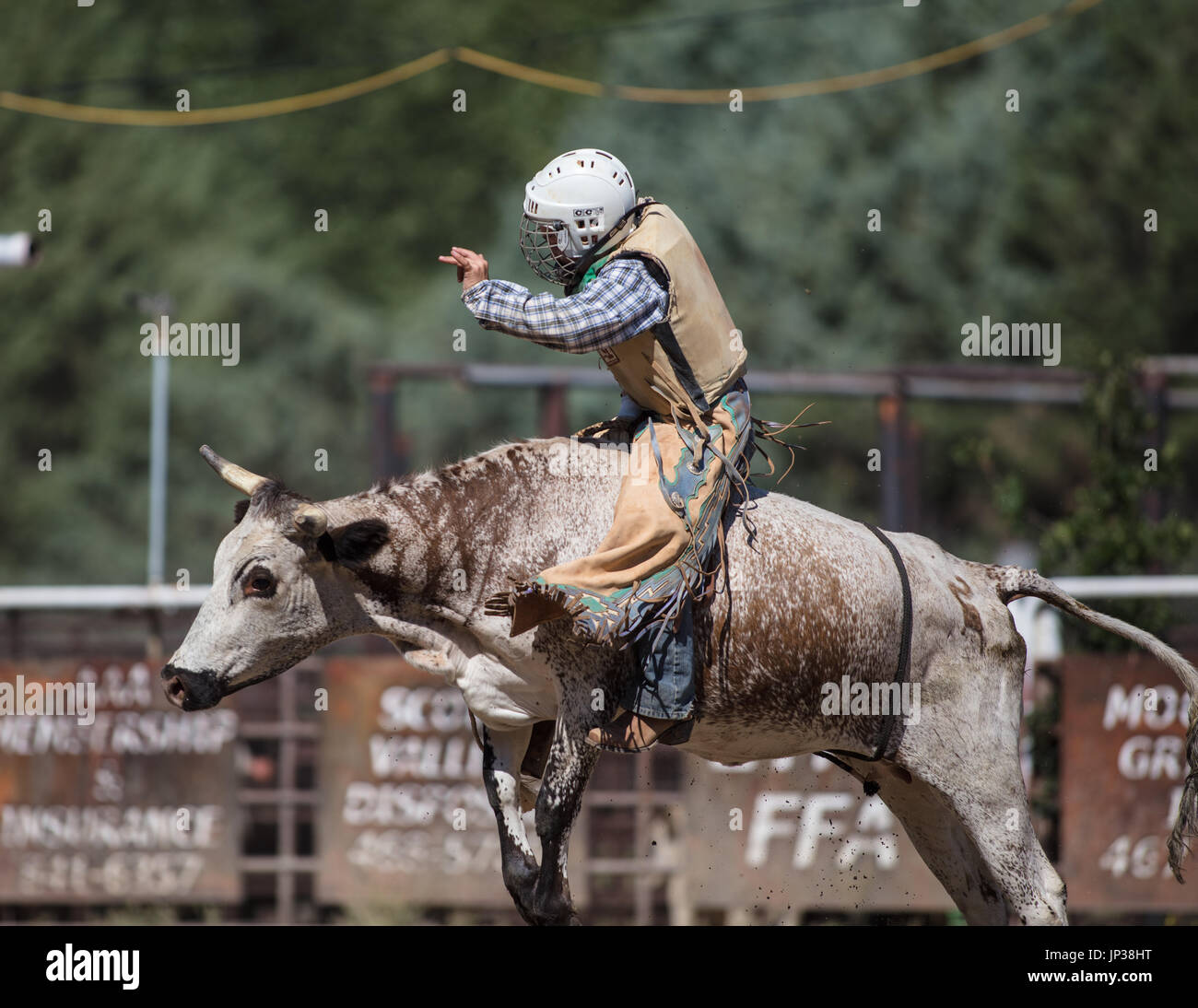 Rodeo action at the Scott Valley Pleasure Park in Etna, California ...