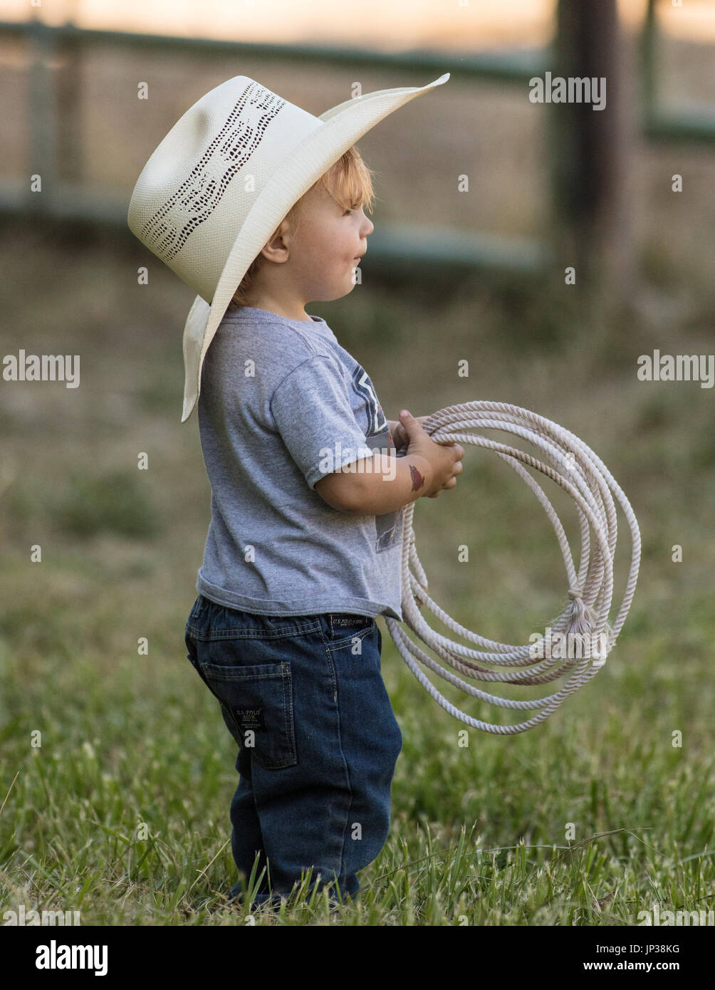 Young cowboy with is rope at the Scott Valley Pleasure Park Rodeo in ...
