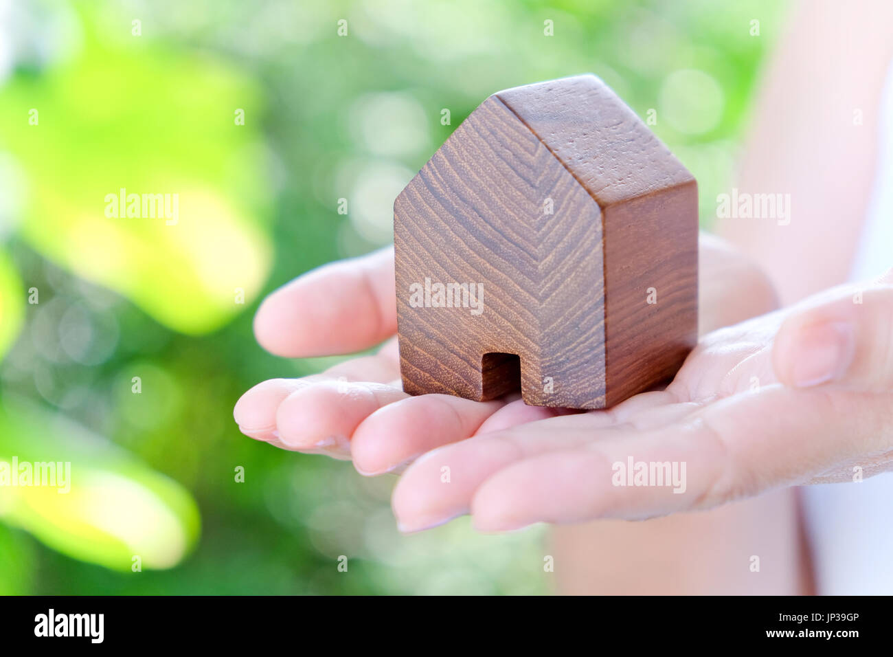hand holding icon house, concept image of make your house Stock Photo ...